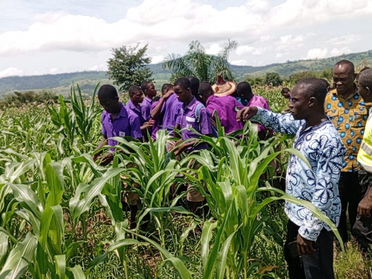Oti Regional Agriculture Director Embraced Government Feed Ghana ...